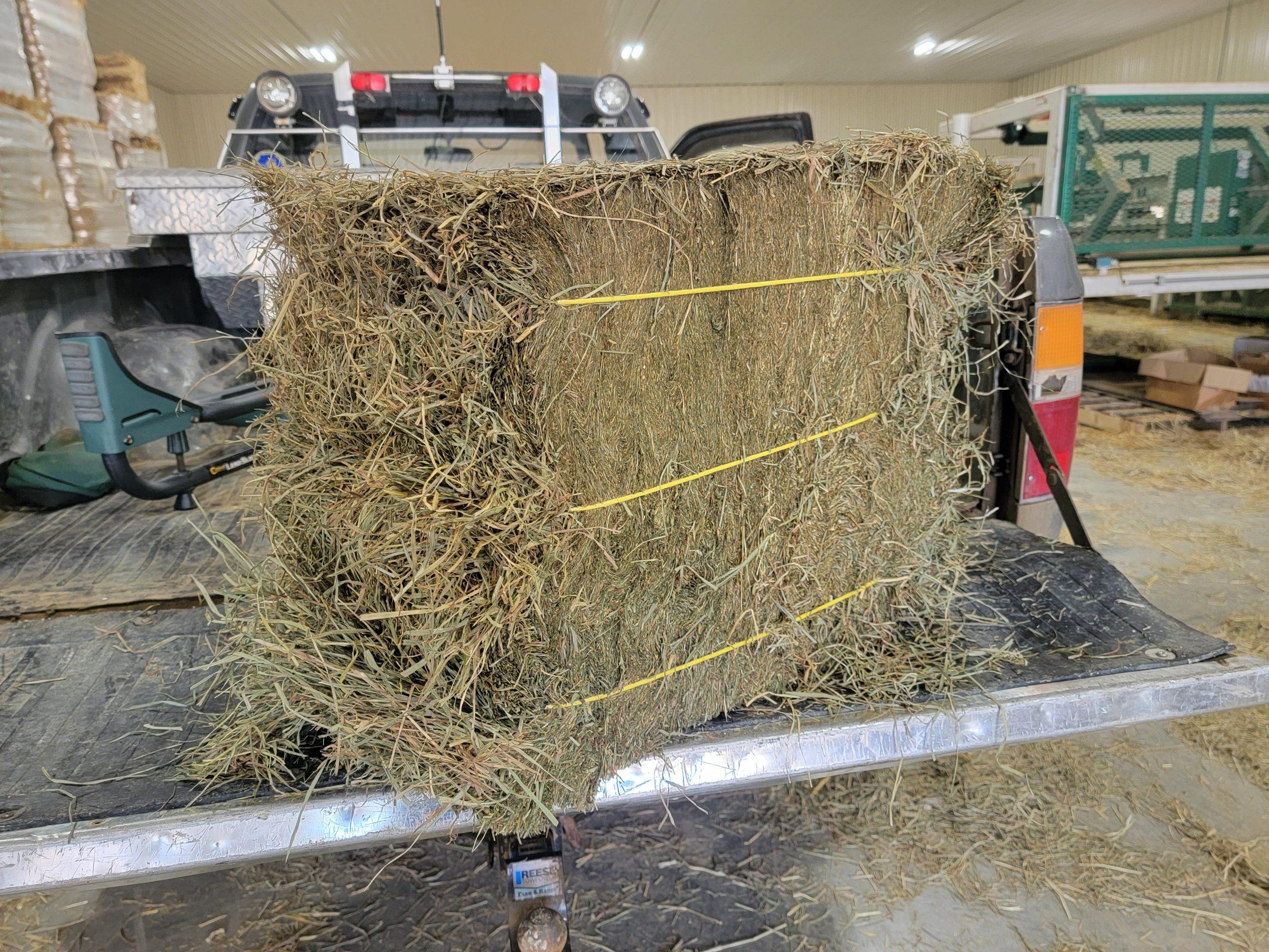 Single Bales (Large and Small) – Stefan Hay Co.