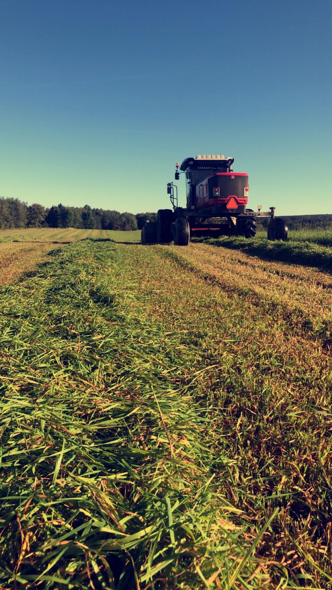 Wholesale – Stefan Hay Co.