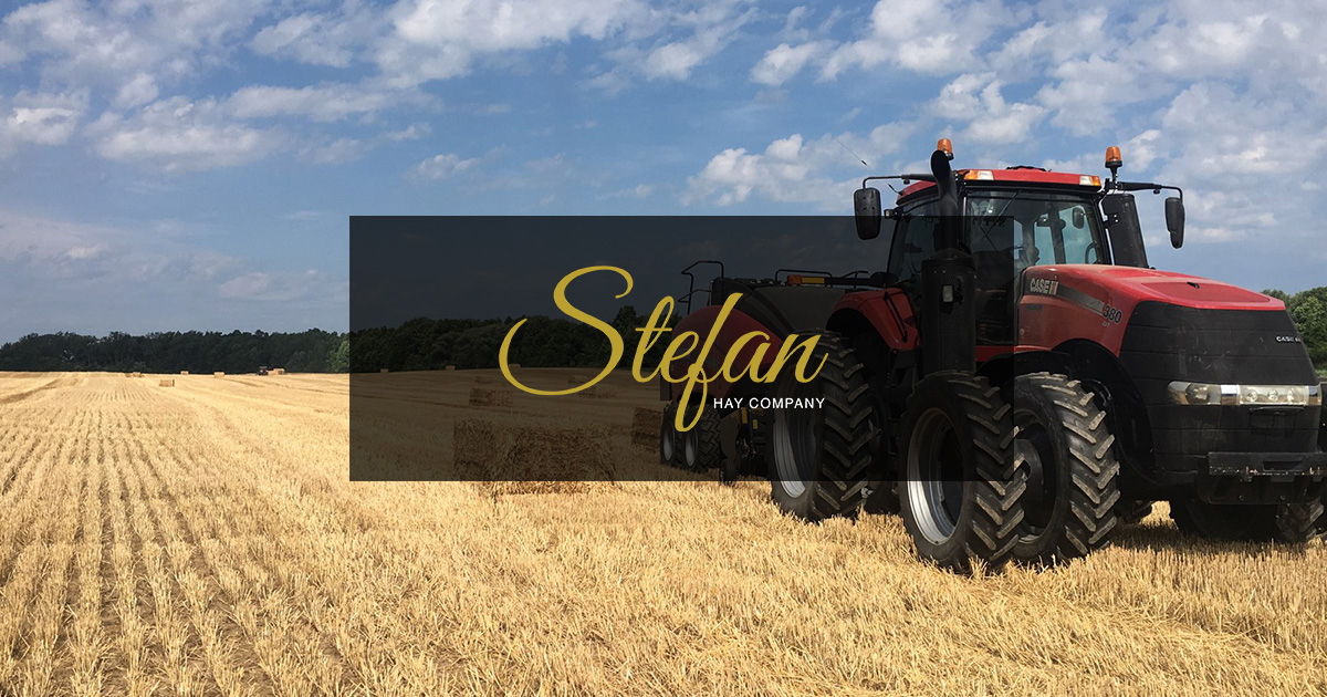 Stefan Hay Co. – WNY's Small Bale and Large Bale Hay Provider